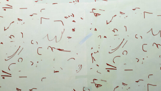 Chris Domenick | Meer