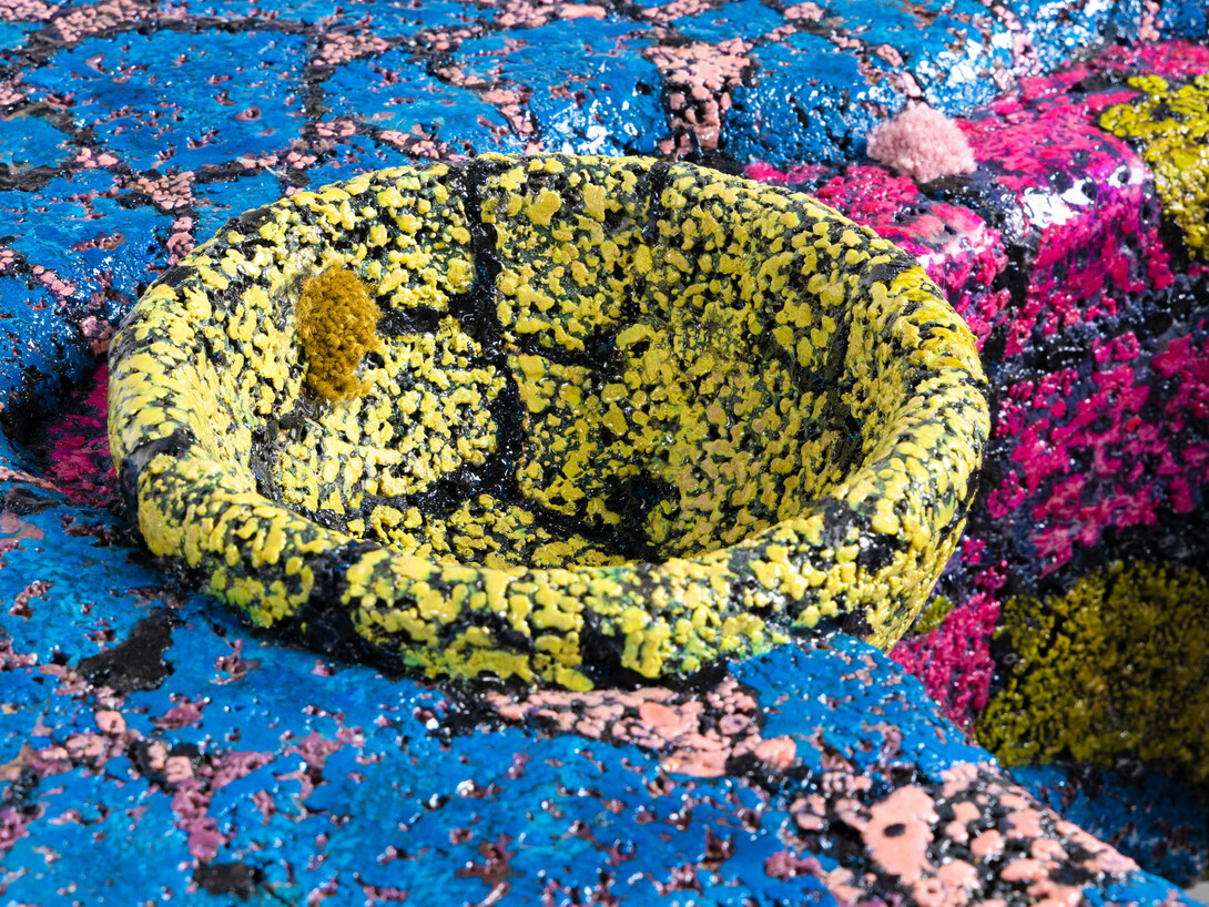 Jack Craig. Protist | Meer