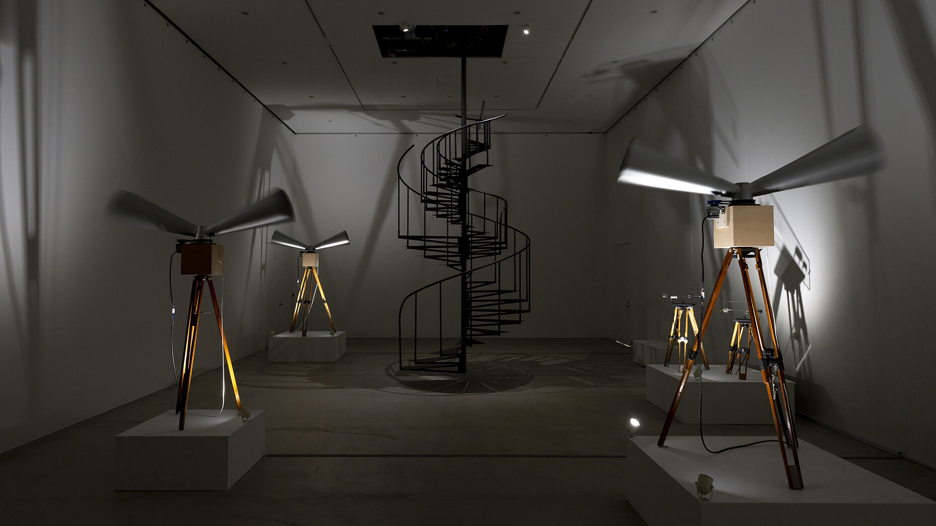 Yuko Mohri's solo exhibition | Meer