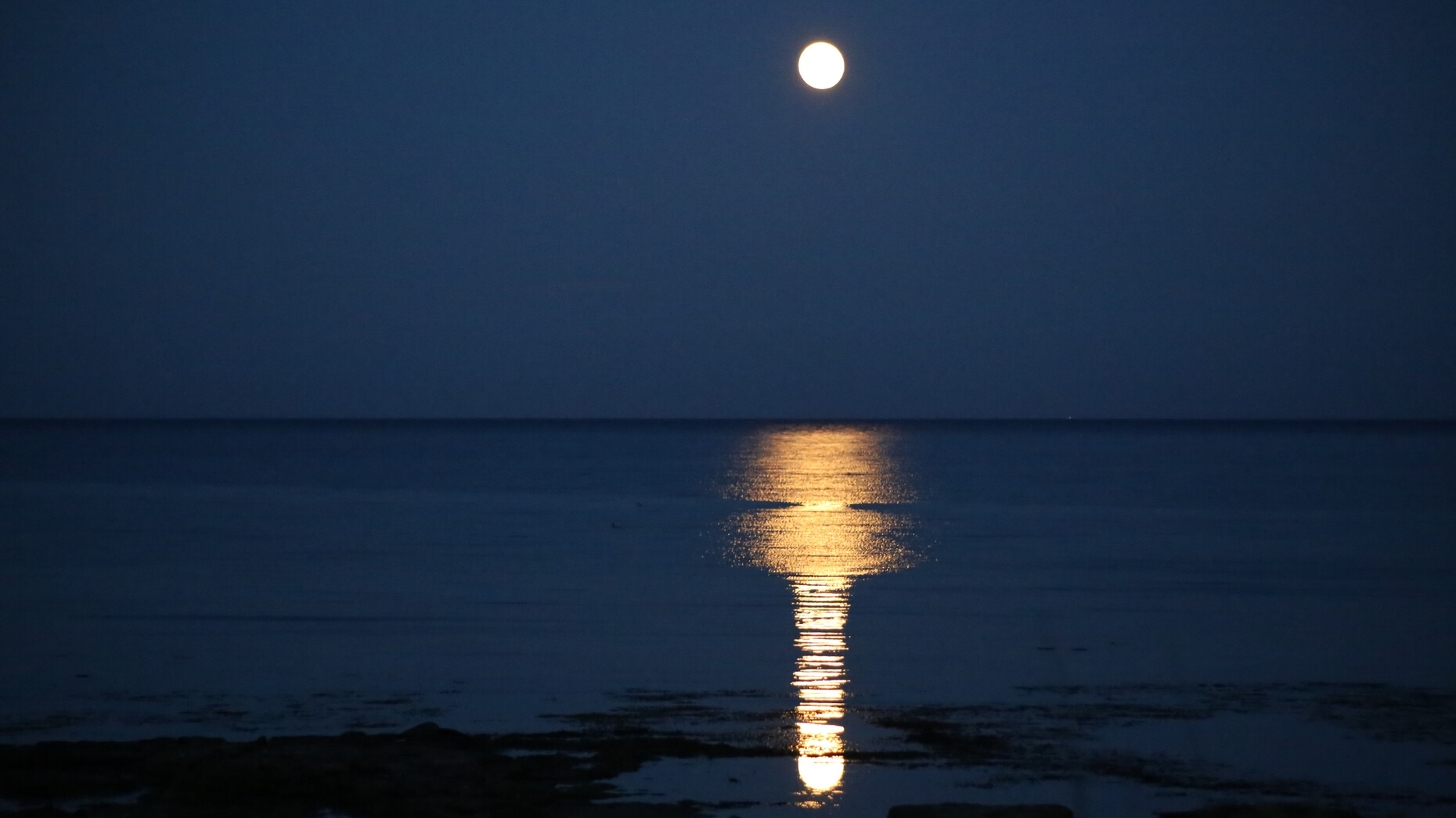 The spiritual journey of the full moon | Meer