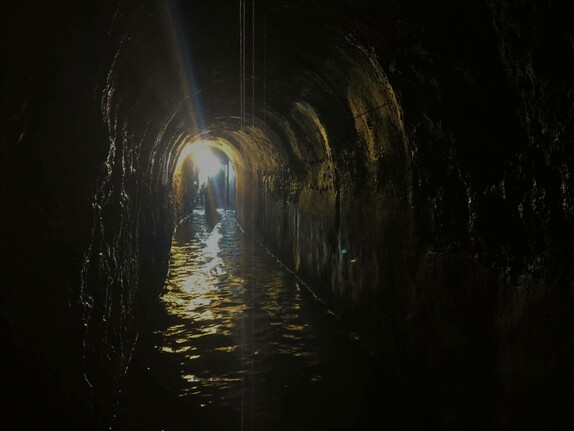 Interview with classical archaeologist Darius Arya | Meer