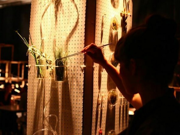 Sean Rogg. The Waldorf Project | Meer