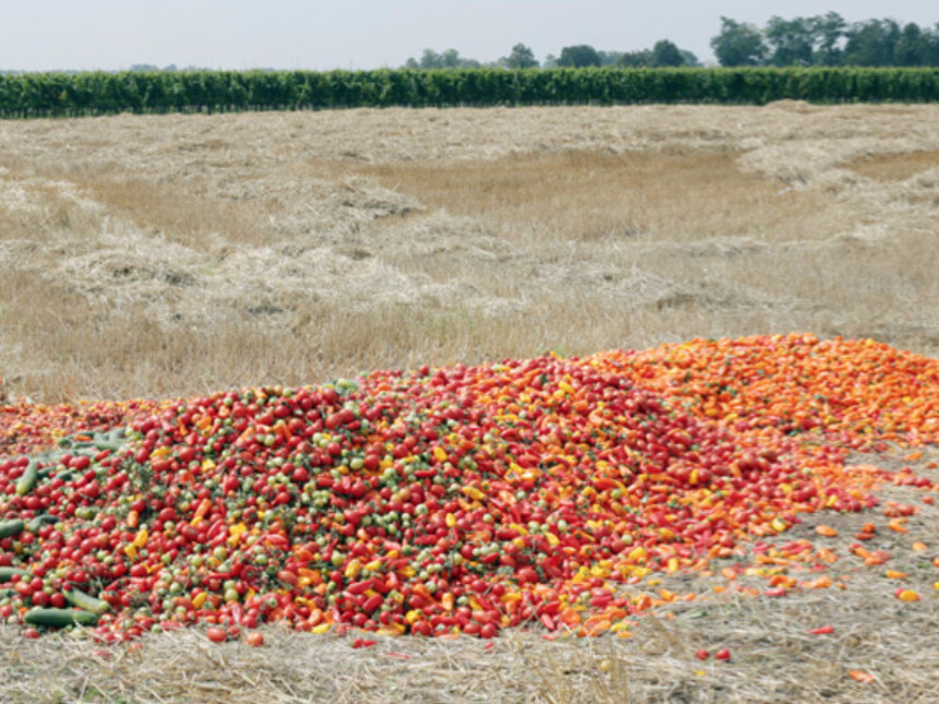 Martin Kollar | Meer