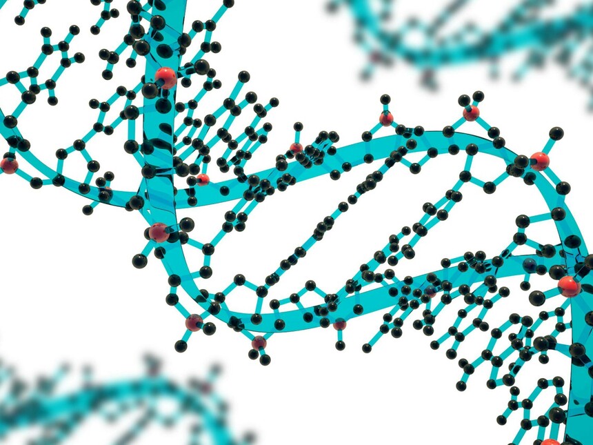 What is single-base editing? | Meer