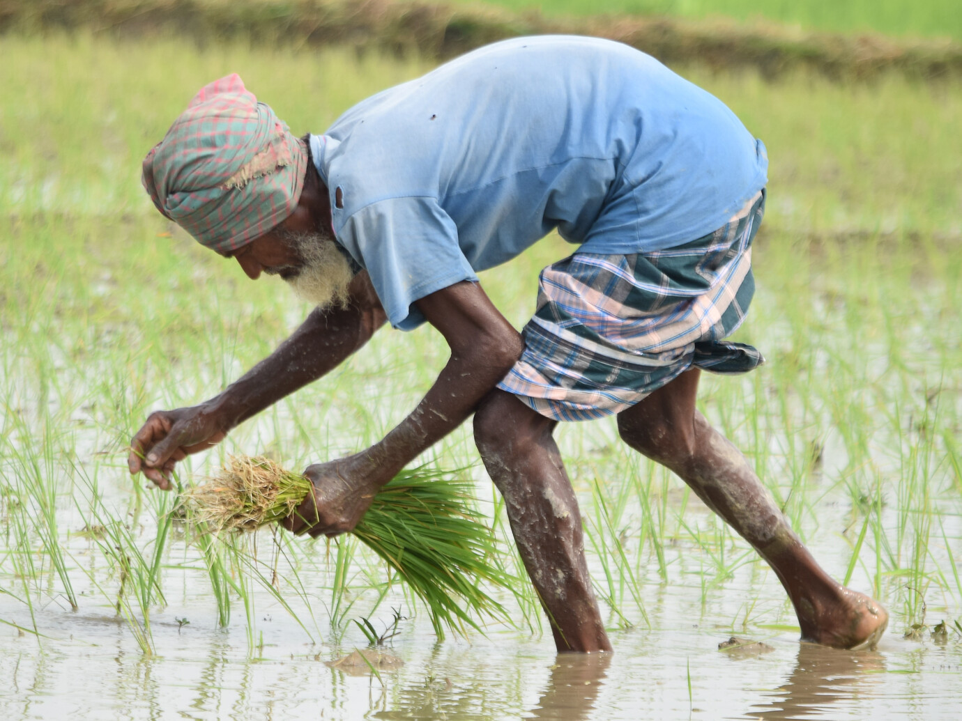 Patriarchal society is a curse for Bangladeshi women | Meer