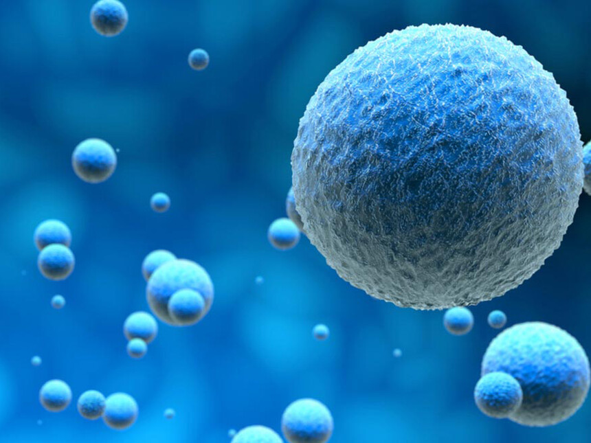 Microbi, microbioma e salute | Meer