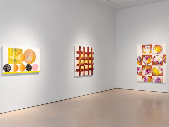 Shane Tolbert | Meer