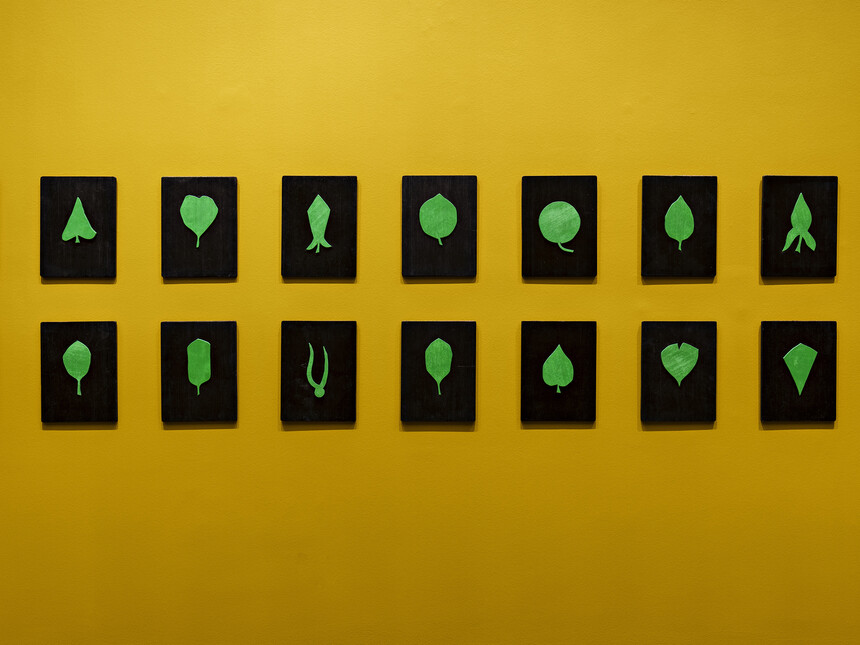 Yto Barrada, dans le cadre de la série ReCollect! | Meer