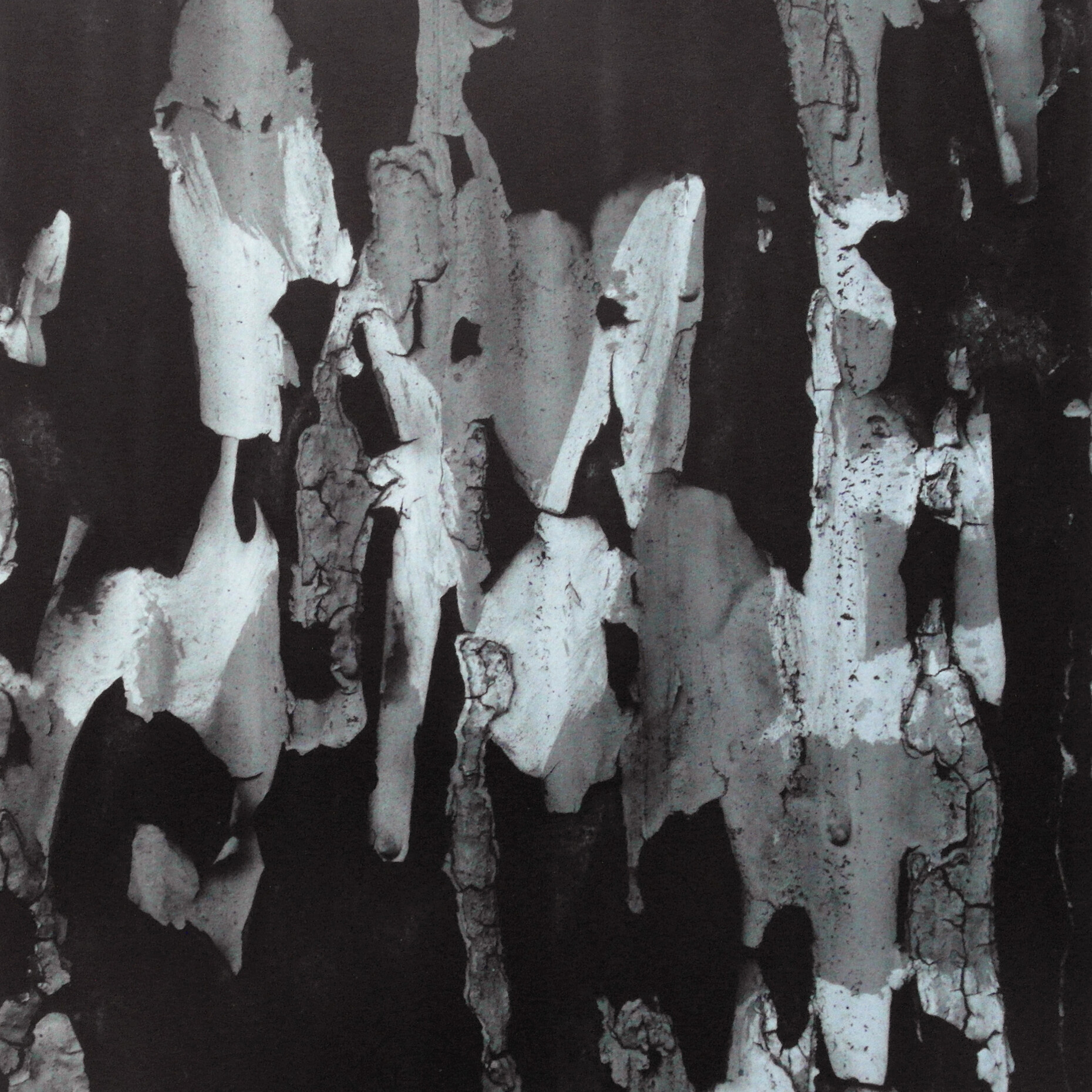 Aaron Siskind | Meer