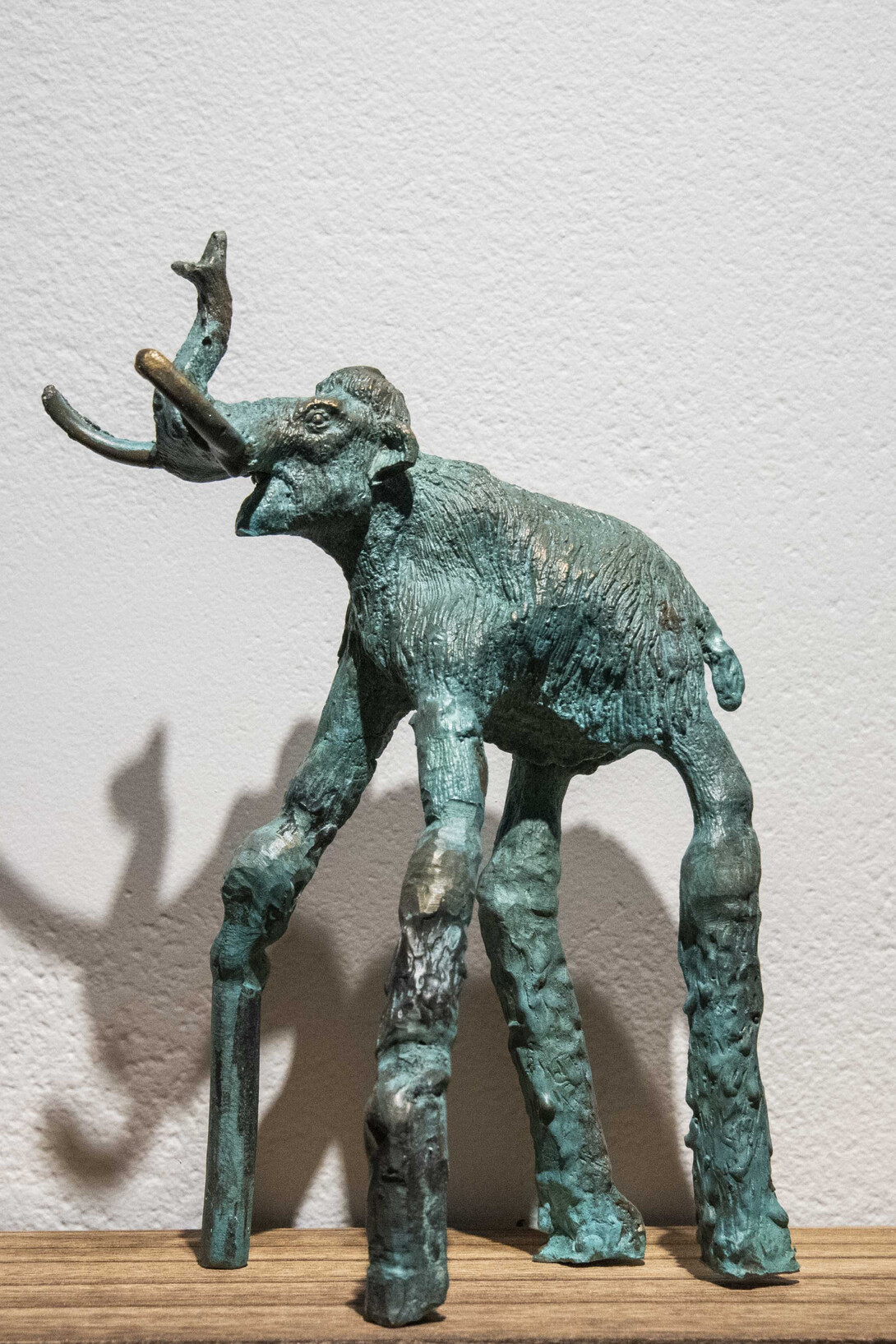 Joshua Goode. Treasures from the new world | Meer