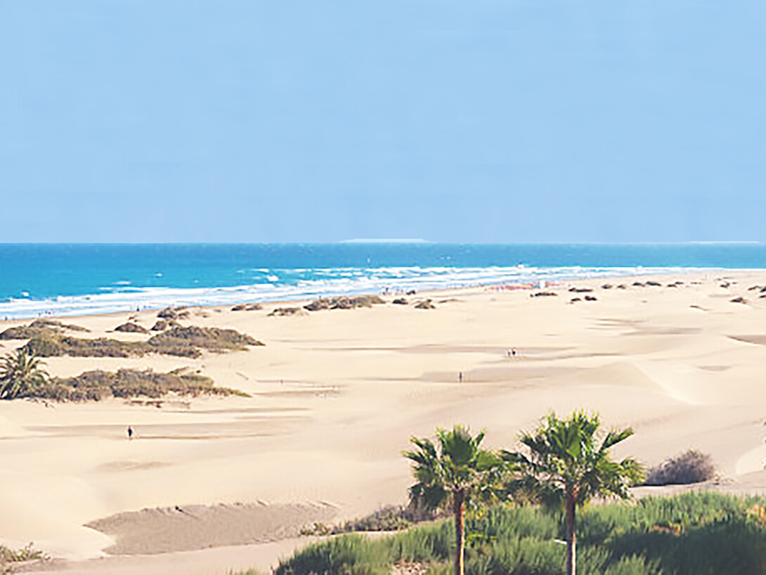 Exploring Lamu coast: Kenya's cultural & natural gem | Meer