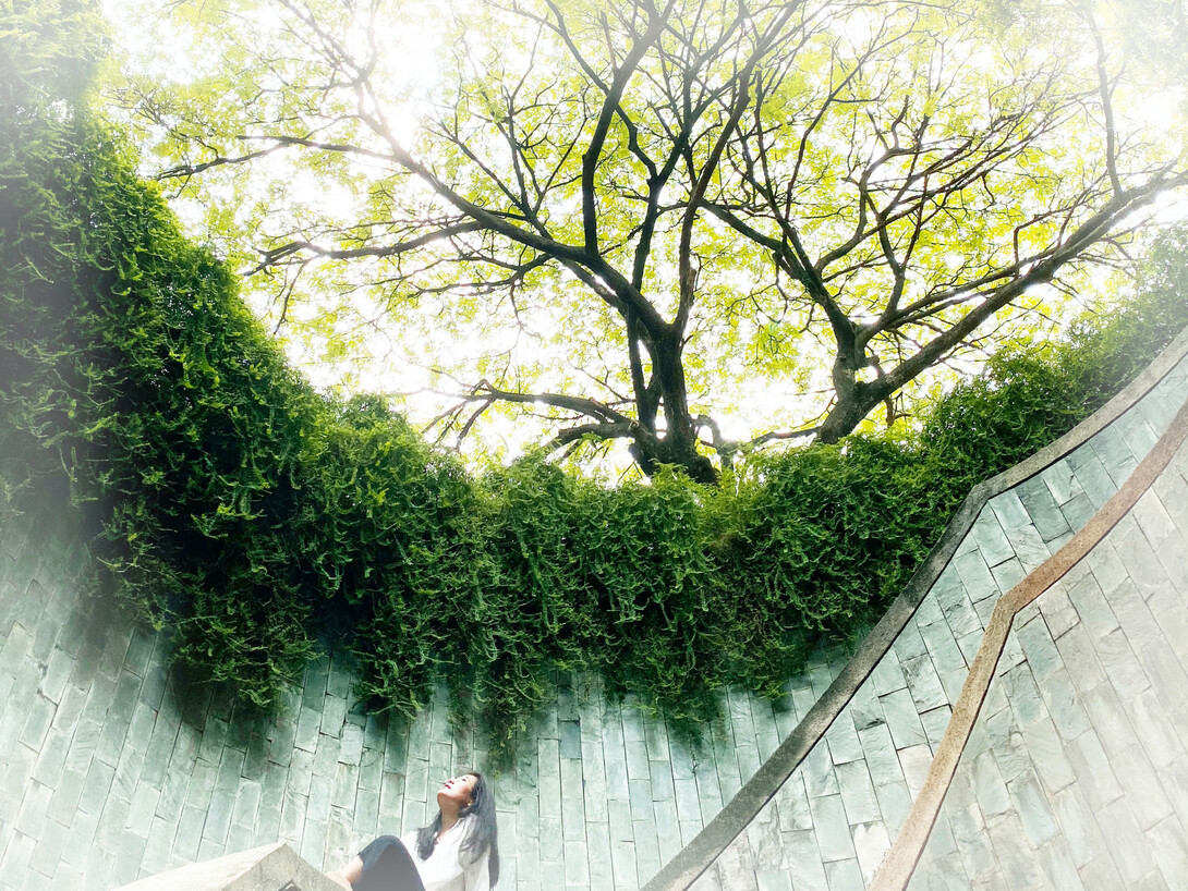 Analysis of peace | Meer