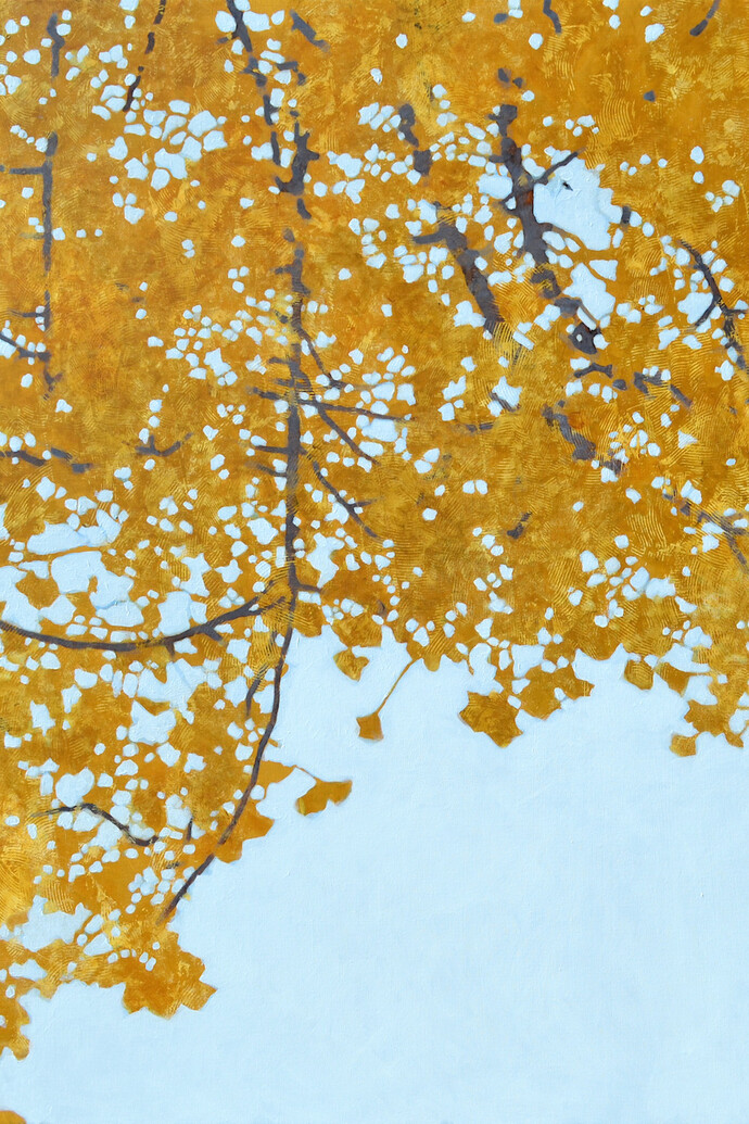 Silhouettes and shadows | Meer