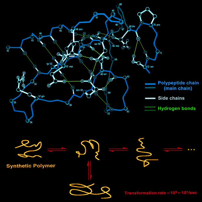On the Importance of Being a Polymer | Meer