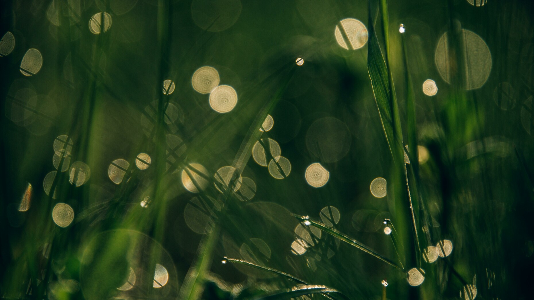 The mattering map | Meer