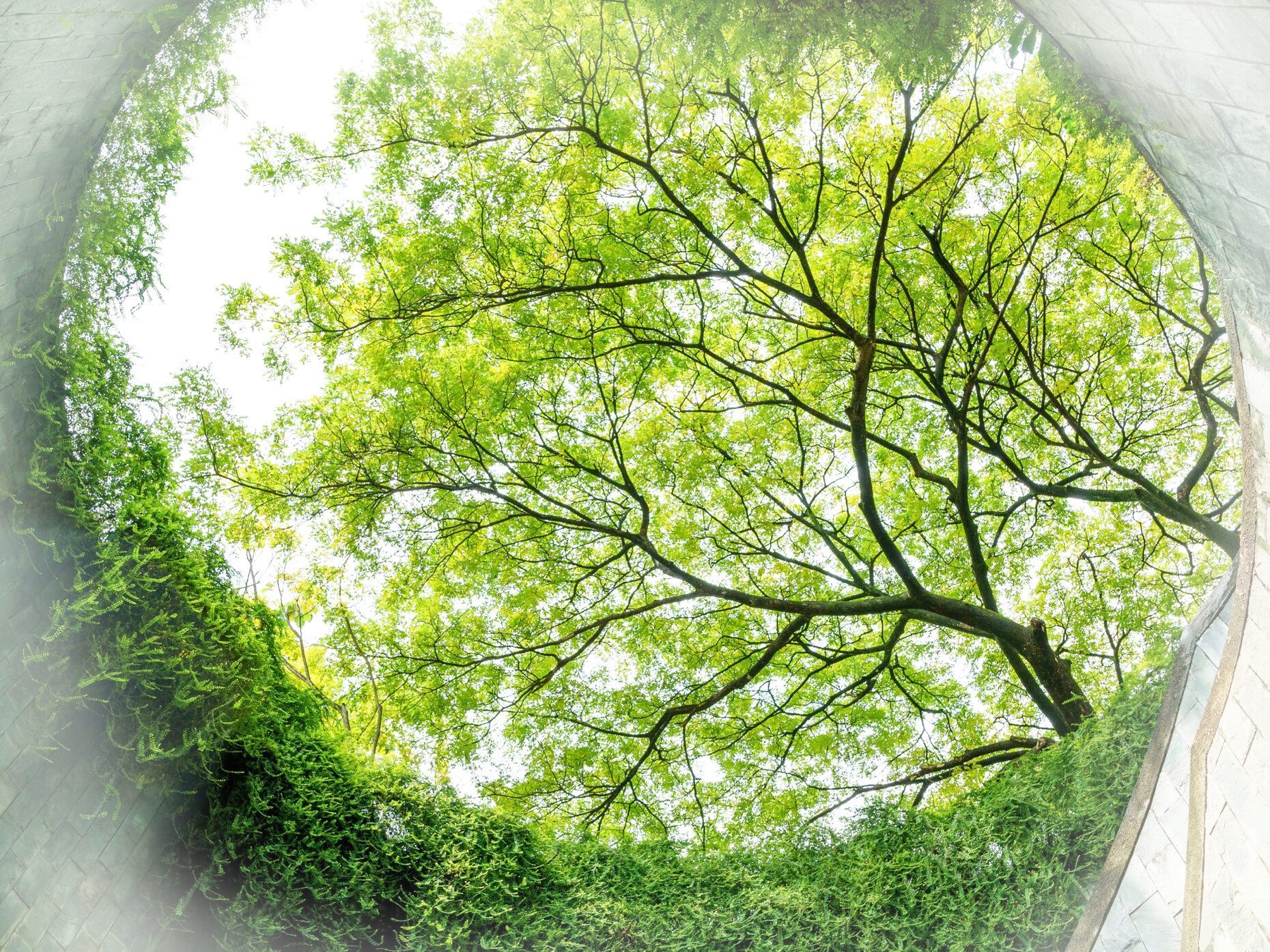 Analysis of peace | Meer