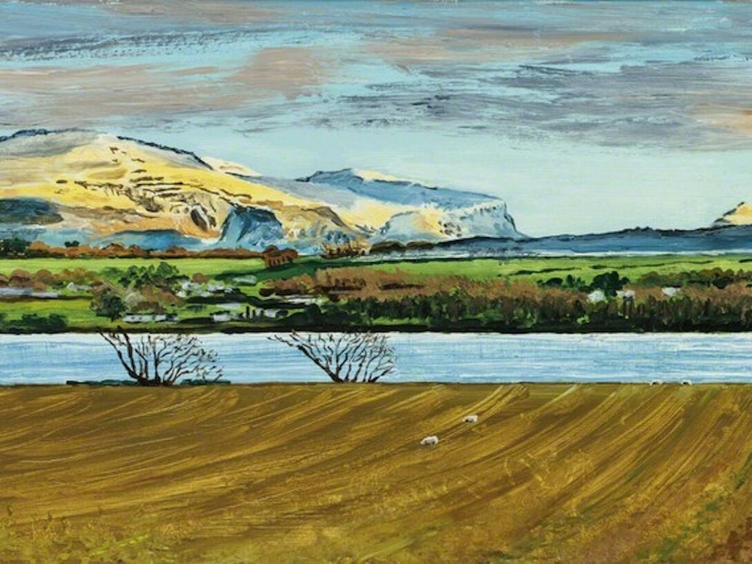 Alex Uxbridge | Meer