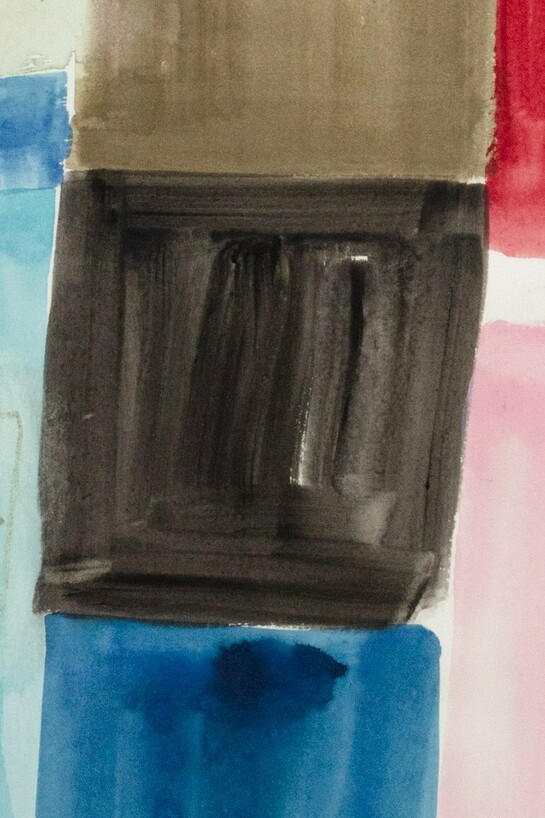 Janis Provisor. That year | Meer