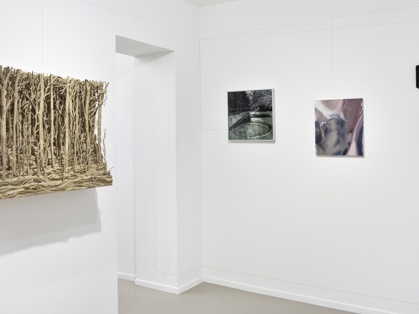 The guiding thread | Meer