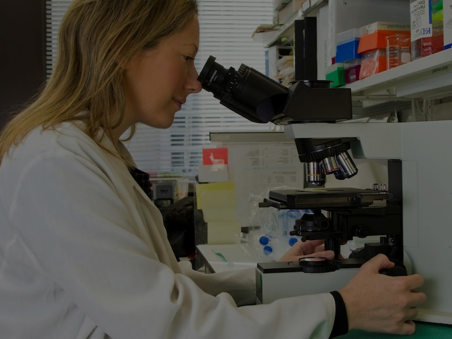 Cancer: the role of combination immunotherapy | Meer