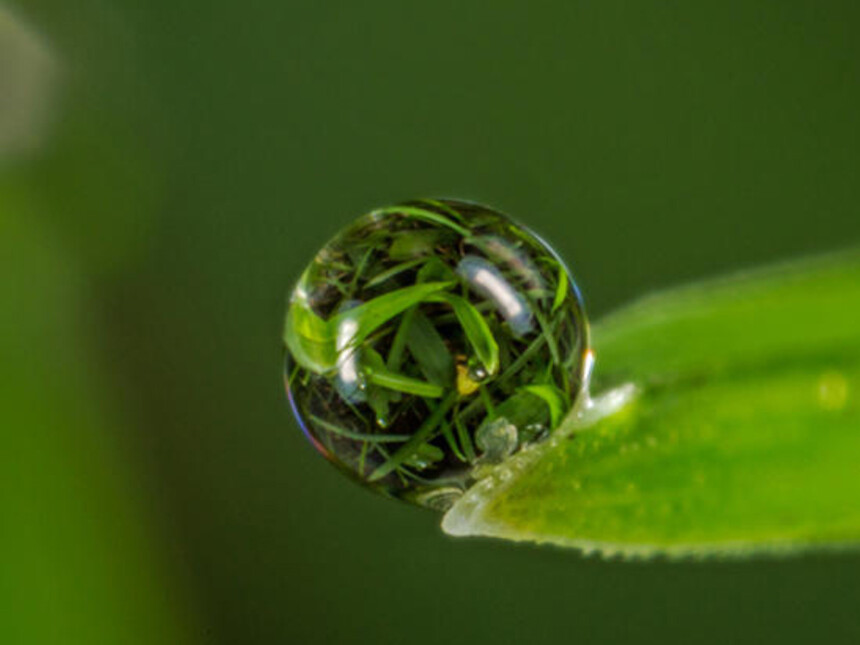 World in a Drop | Meer