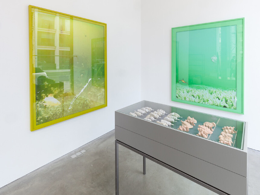 Michael Müller | Meer