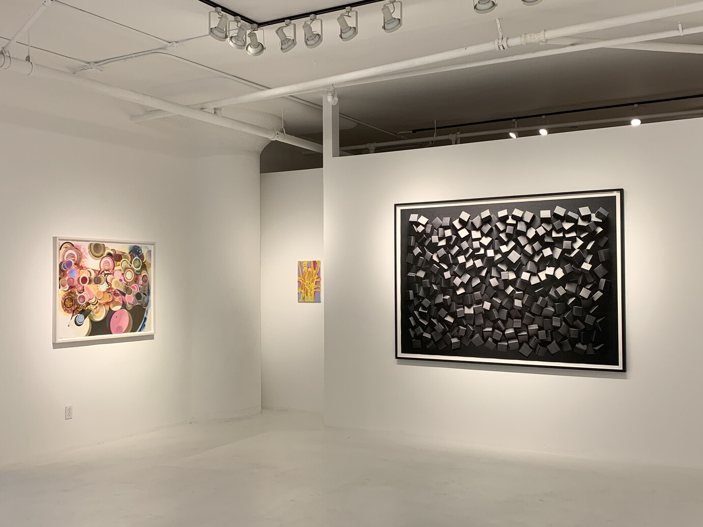 Does not Reproduce | Meer