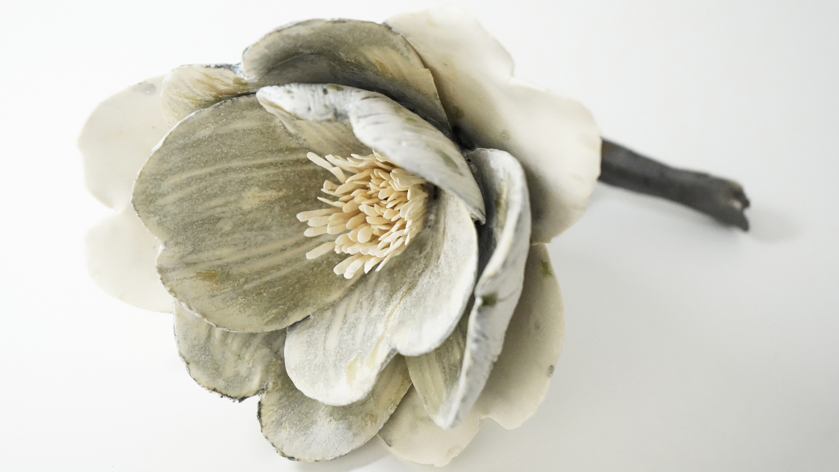 Clay in motion | Meer