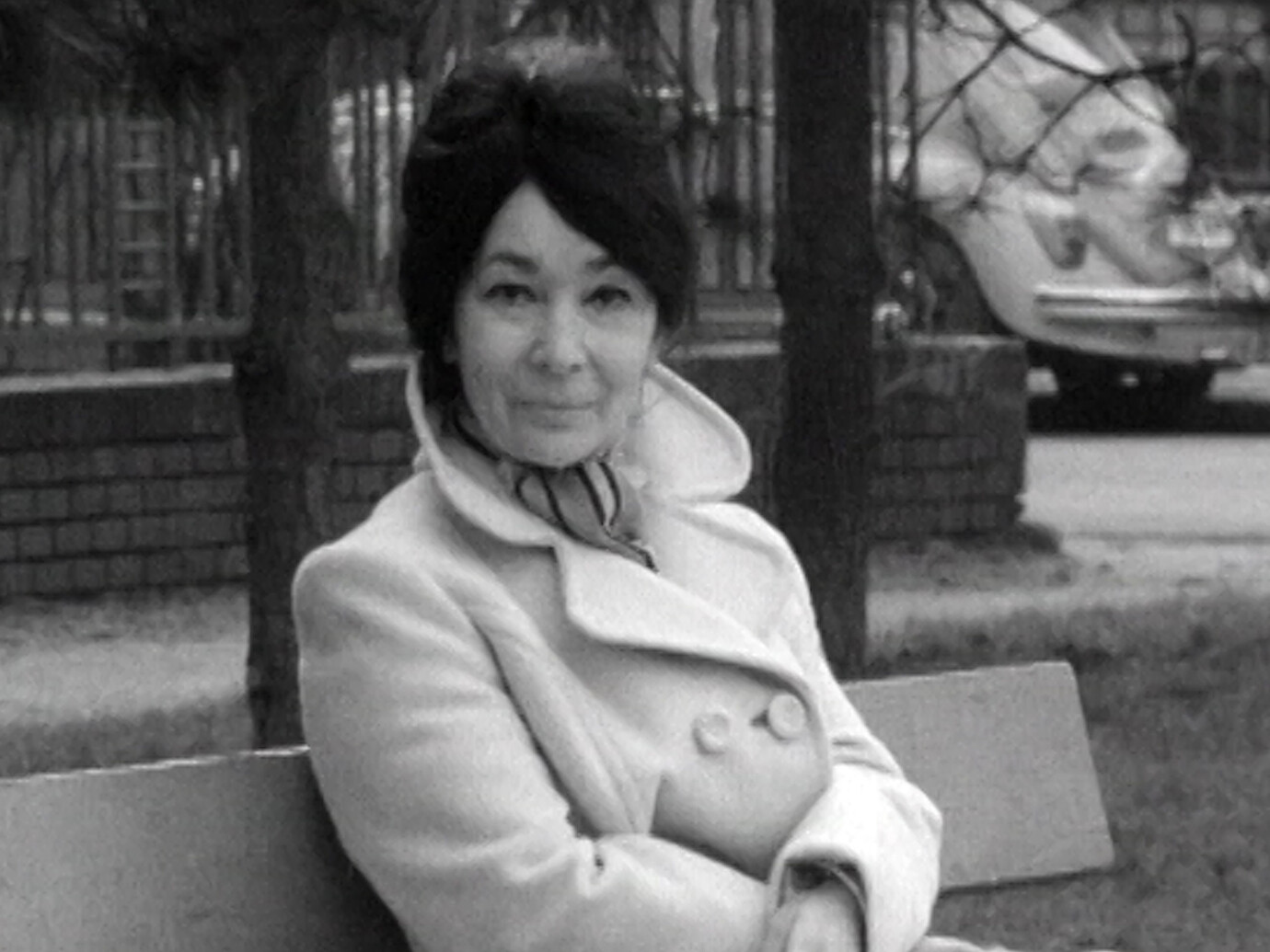 The Ideal Library | Meer