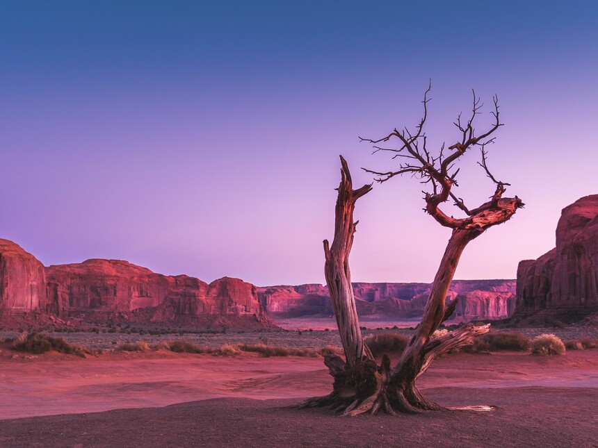 The Implacable Desertification of Planet Earth | Meer