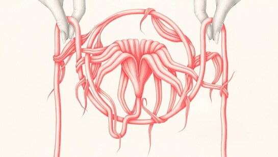 Devra Fox. In orbit | Meer