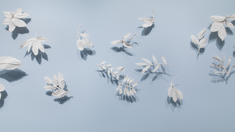 Lineage through Landscape | Meer