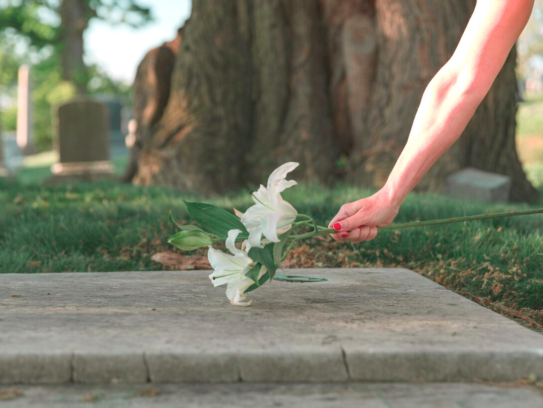 Palabras en desuso: «chercha» o «cherche» | Meer