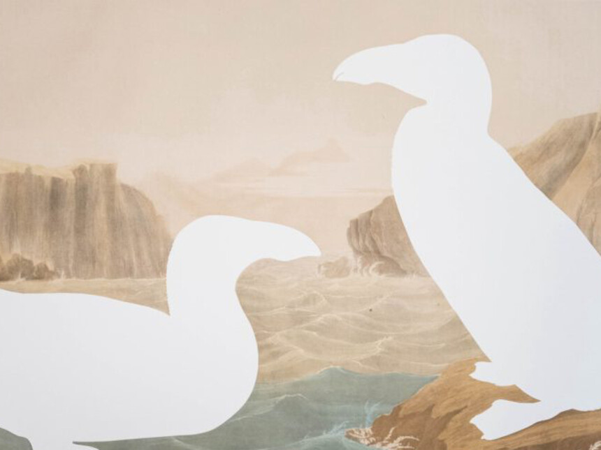 Brandon Ballengée. L’art de la solitude | Meer