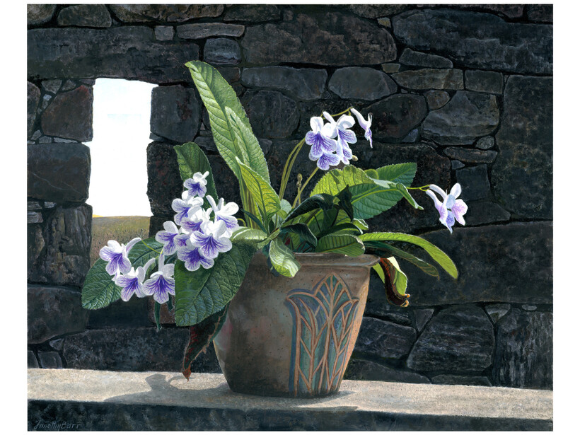 Timothy Barr. My nature | Meer