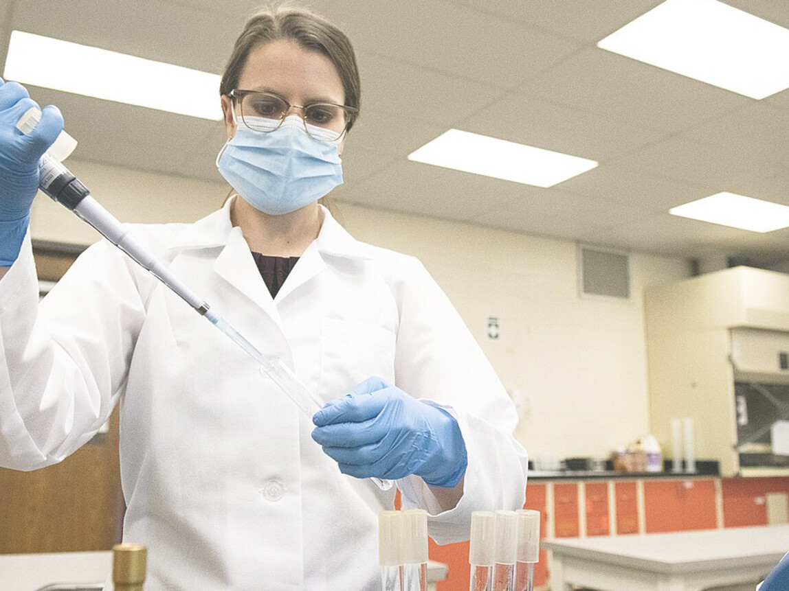 Essential tips for food microbiology and safety | Meer