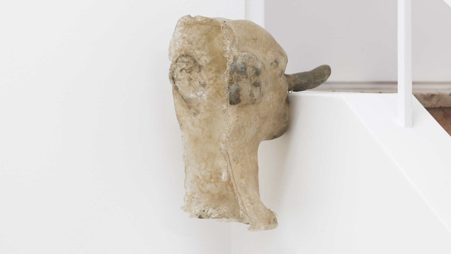 The Lobster Loop | Meer