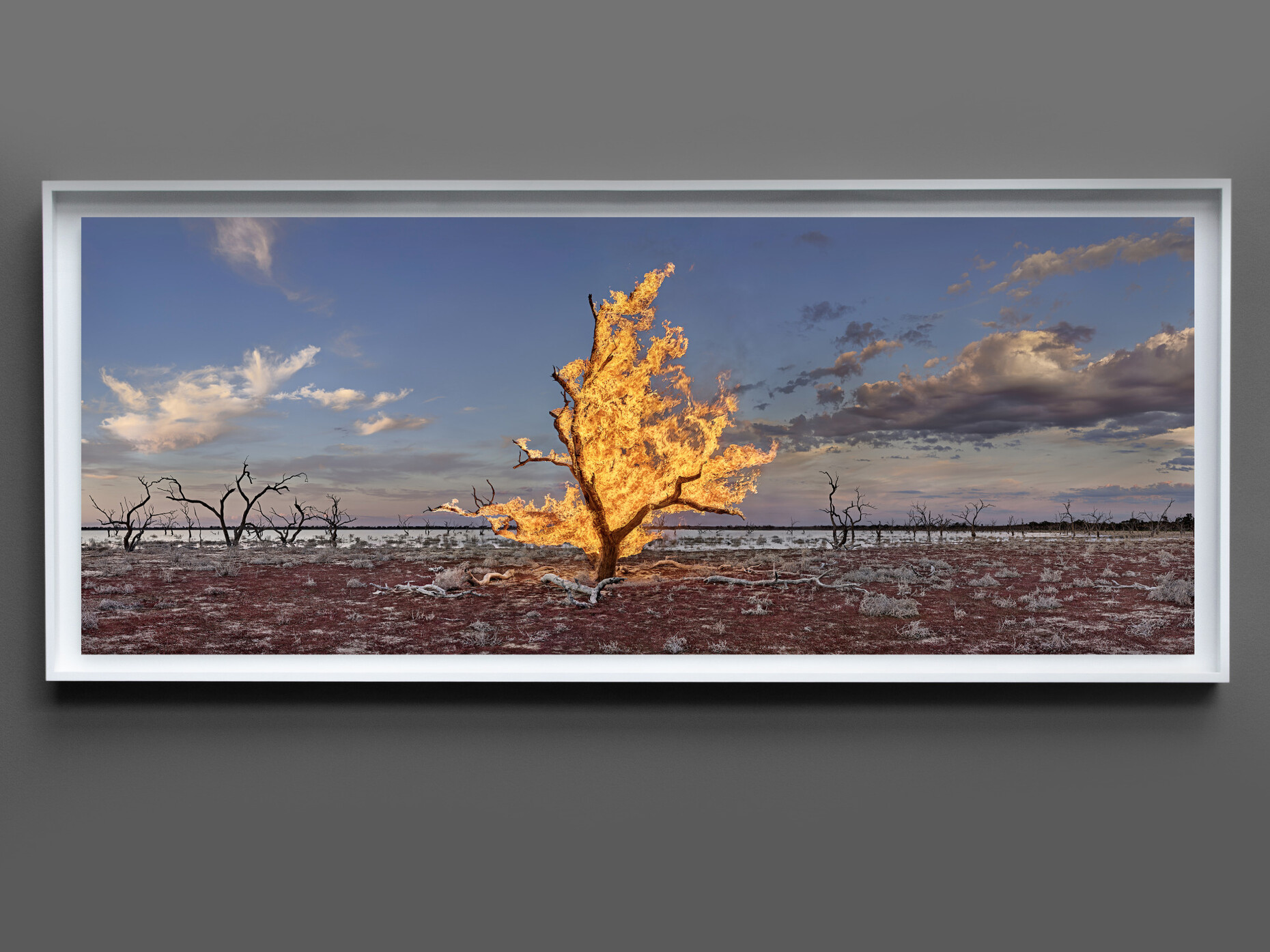 Murray Fredericks. Blaze | Meer