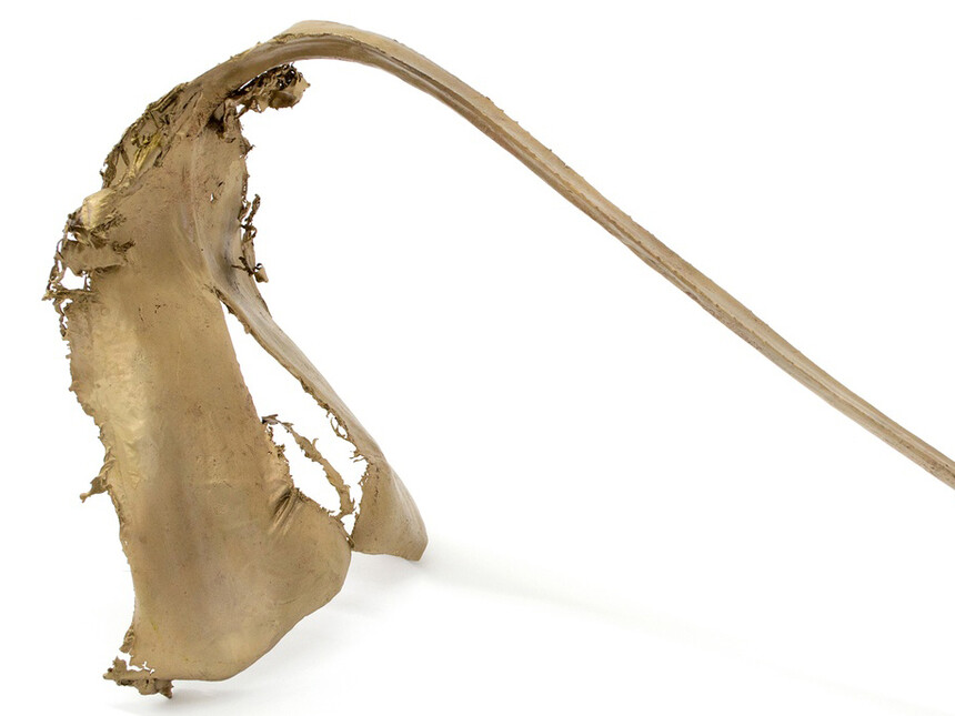 Zoe Crosher. Courtesy of Aspen Art Museum | Aspen Art Museum