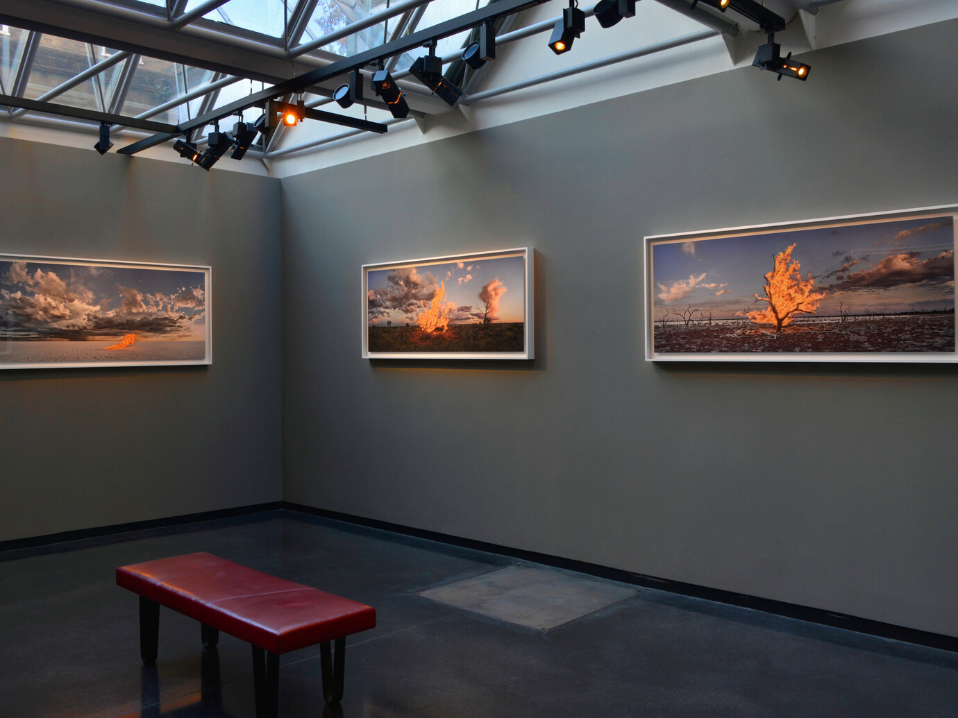 Murray Fredericks. Blaze | Meer