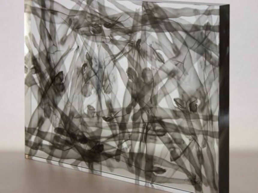 Michal Macku. The 3D Photography | Meer