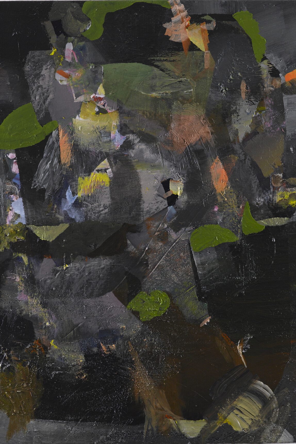 Ian Woo. The Difference Between Your Mountain and My Couch | Meer