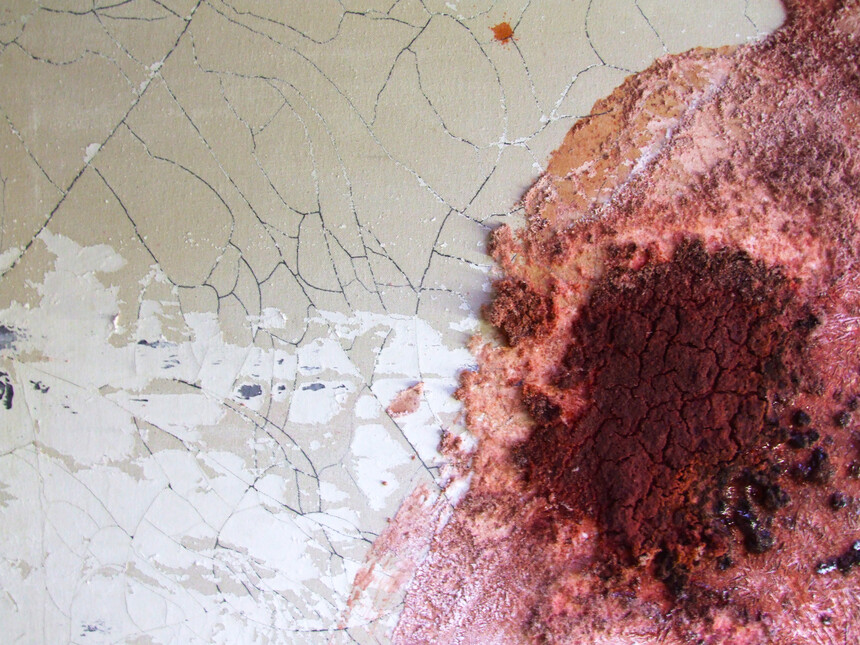 Luke George & Elizabeth Rose. Passages | Meer