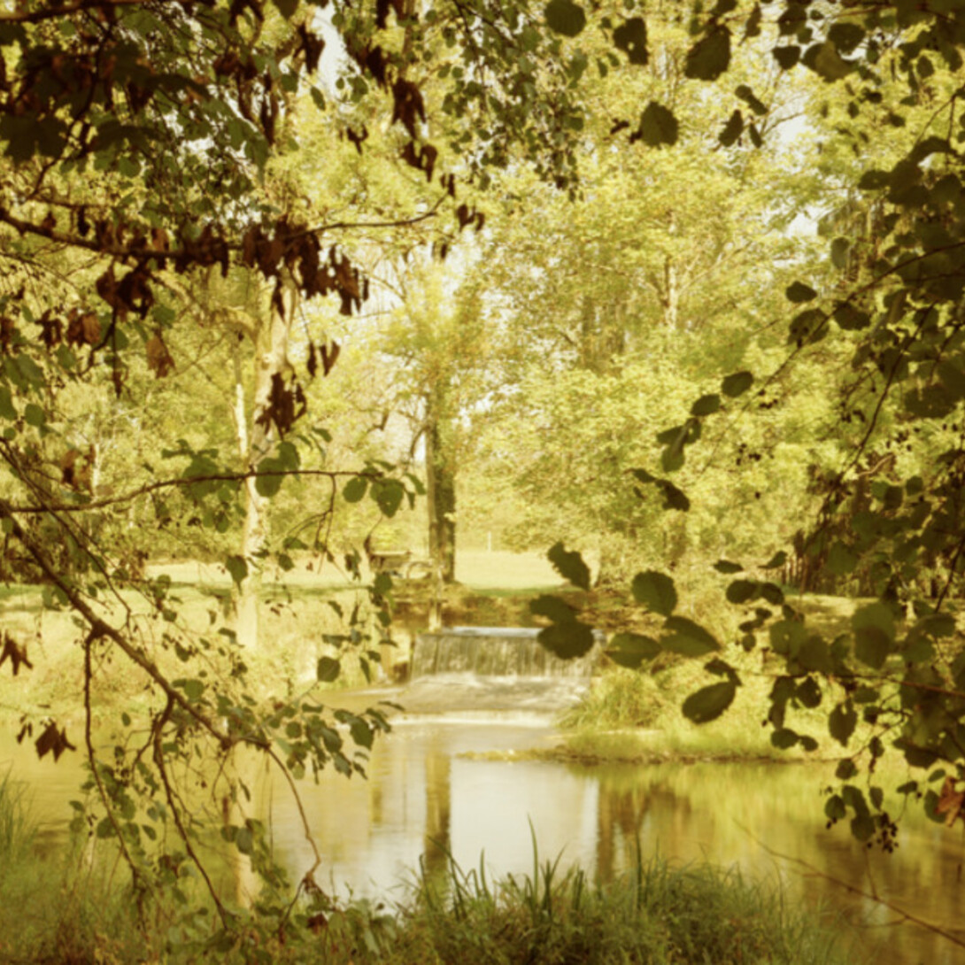 Bruce Silverstein Gallery