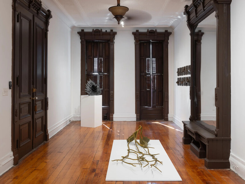 Strange fruit | Meer