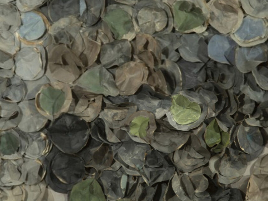 Barbara Hirsch | Meer