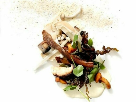 Sean Rogg. The Waldorf Project | Meer