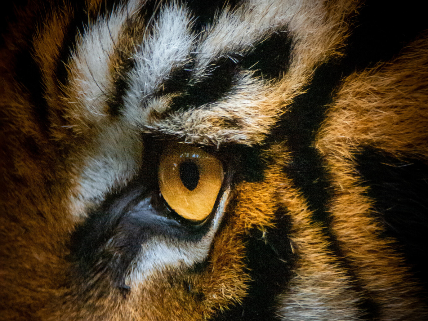 The importance of grit | Meer