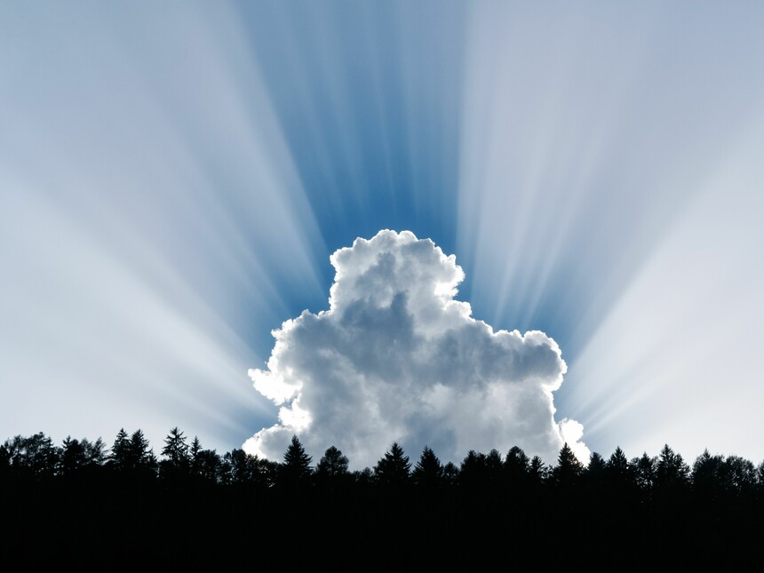 Apología de la capacidad de trascender | Meer