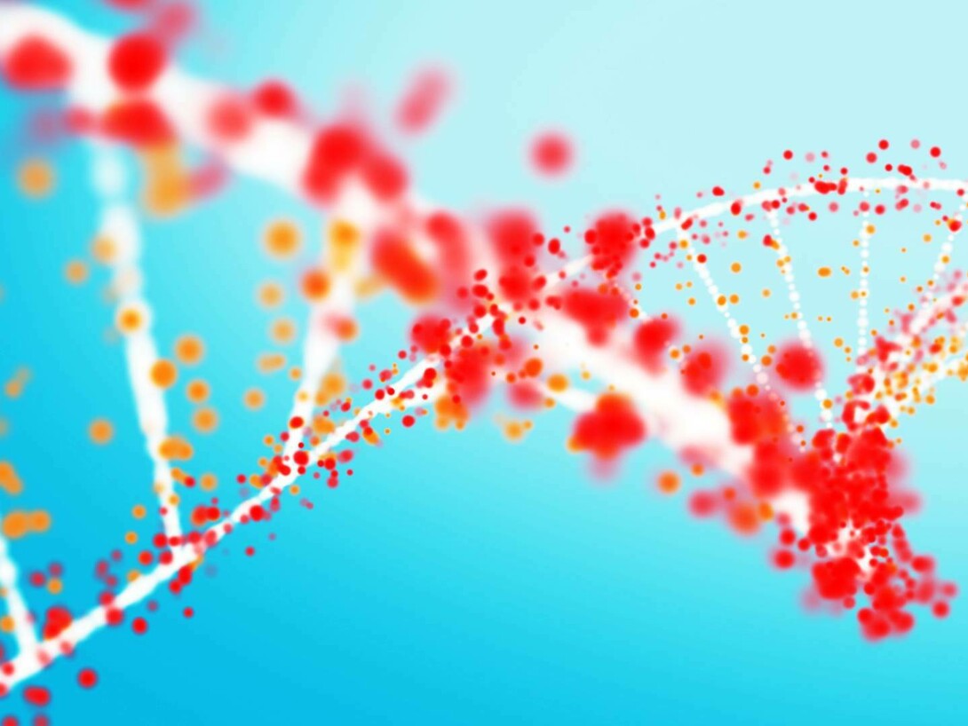 The origin of life examined | Meer